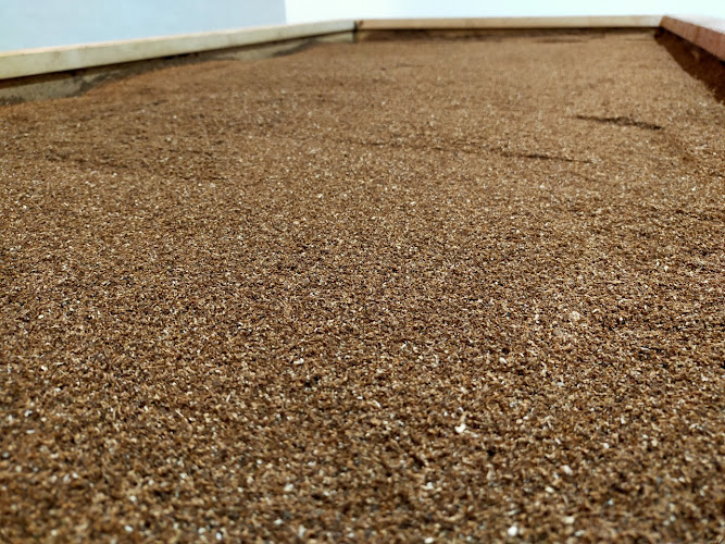 酵素風呂 UNTE 《 意見